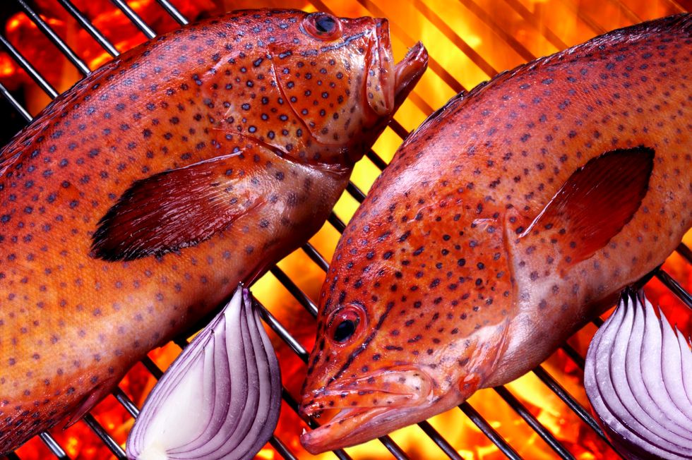 Grouper - Sale&Pepe