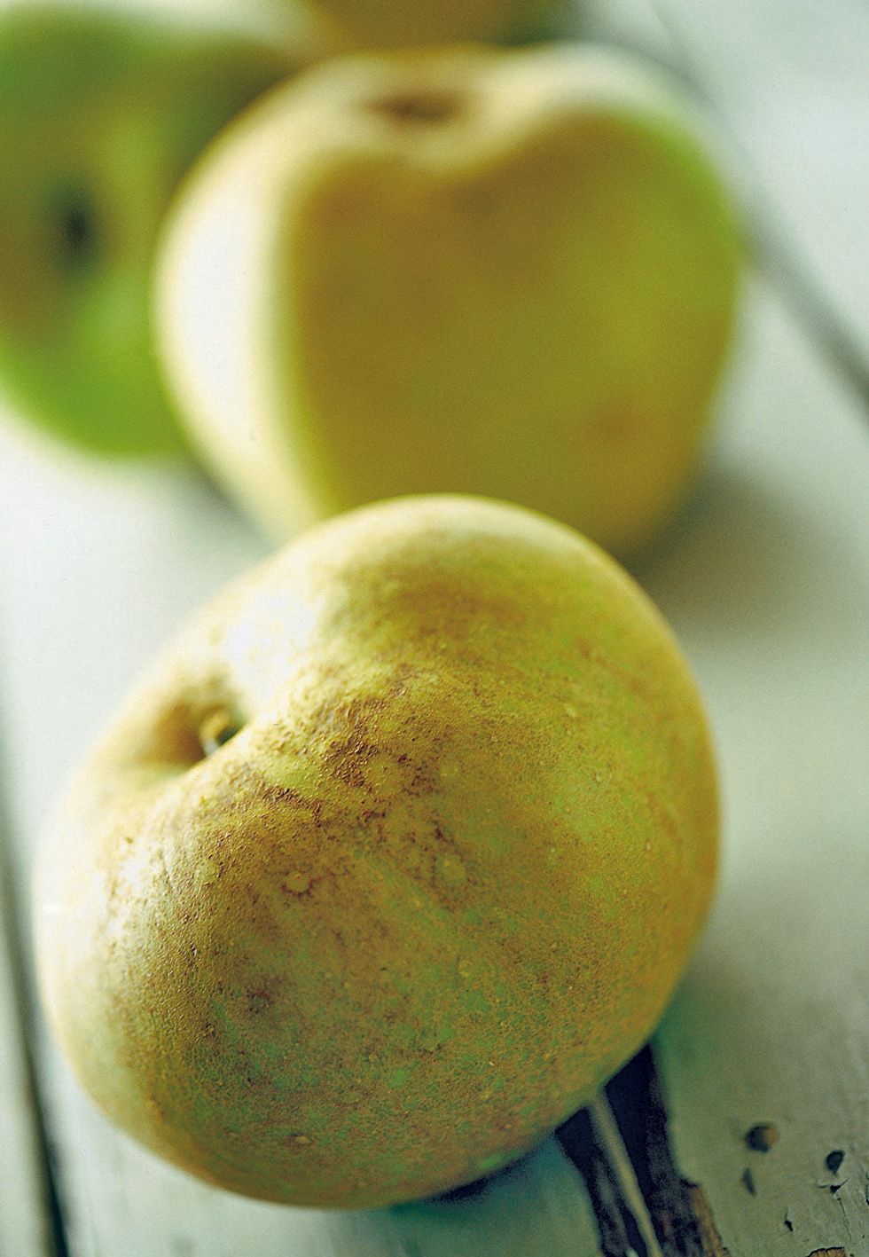 Renetta Canada - Sale&Pepe